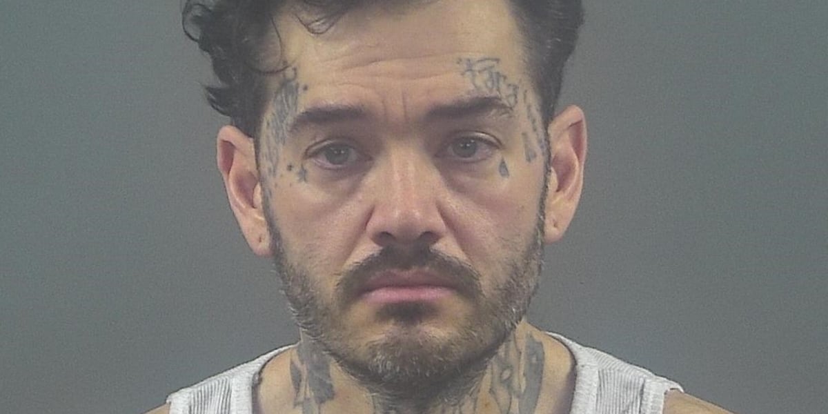 Man pleads guilty in Bowling Green Wendy’s arson, burglary case Man pleads guilty in Bowling Green Wendy’s arson, burglary case