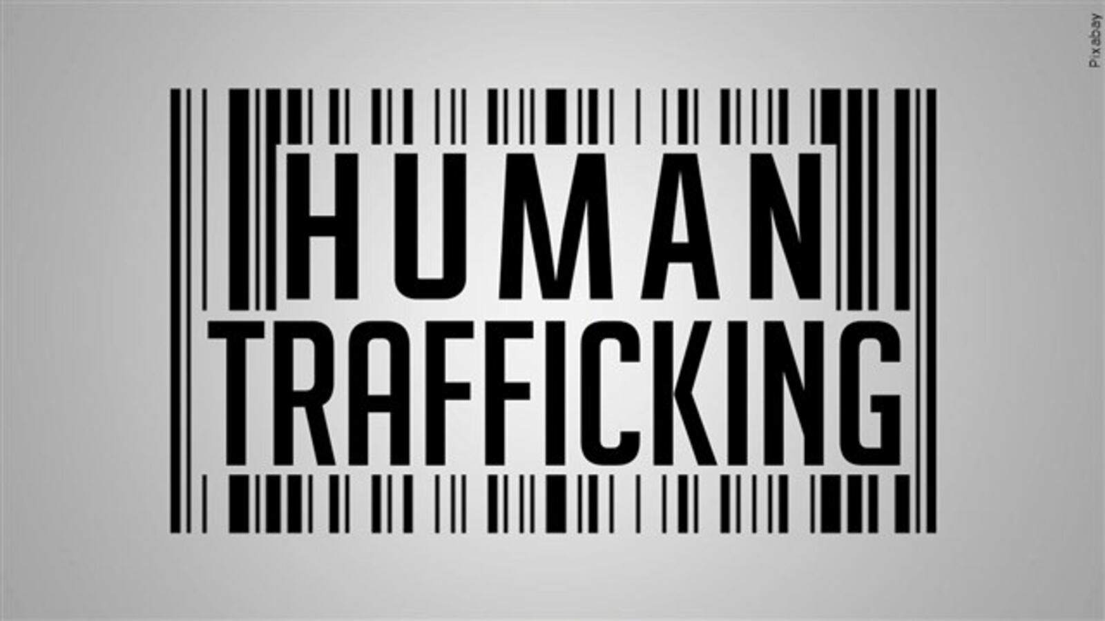 Phoenix Rising Raising Awareness For Human Trafficking Prevention Month